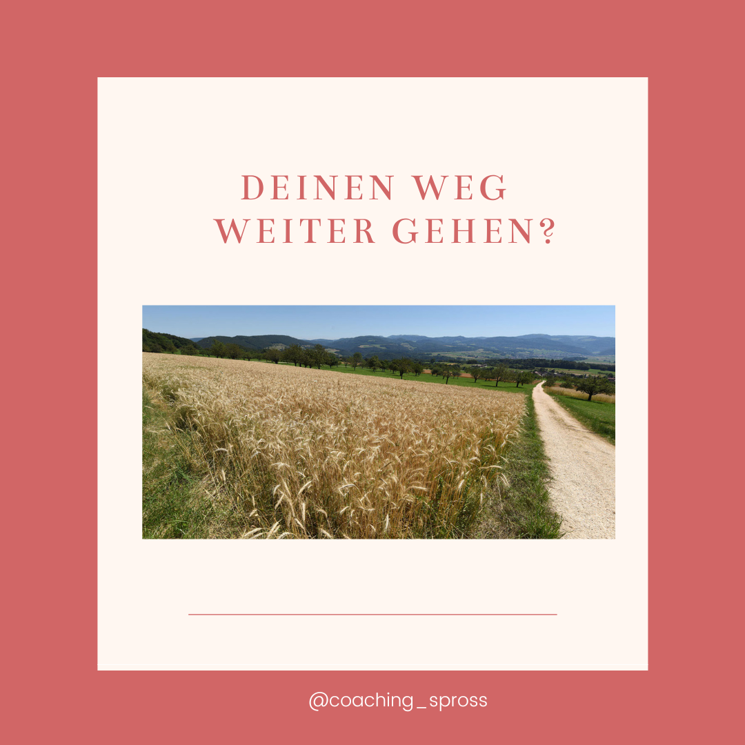 Den Weg weitergehen - eine Bestandsaufnahme / Coaching Sproß